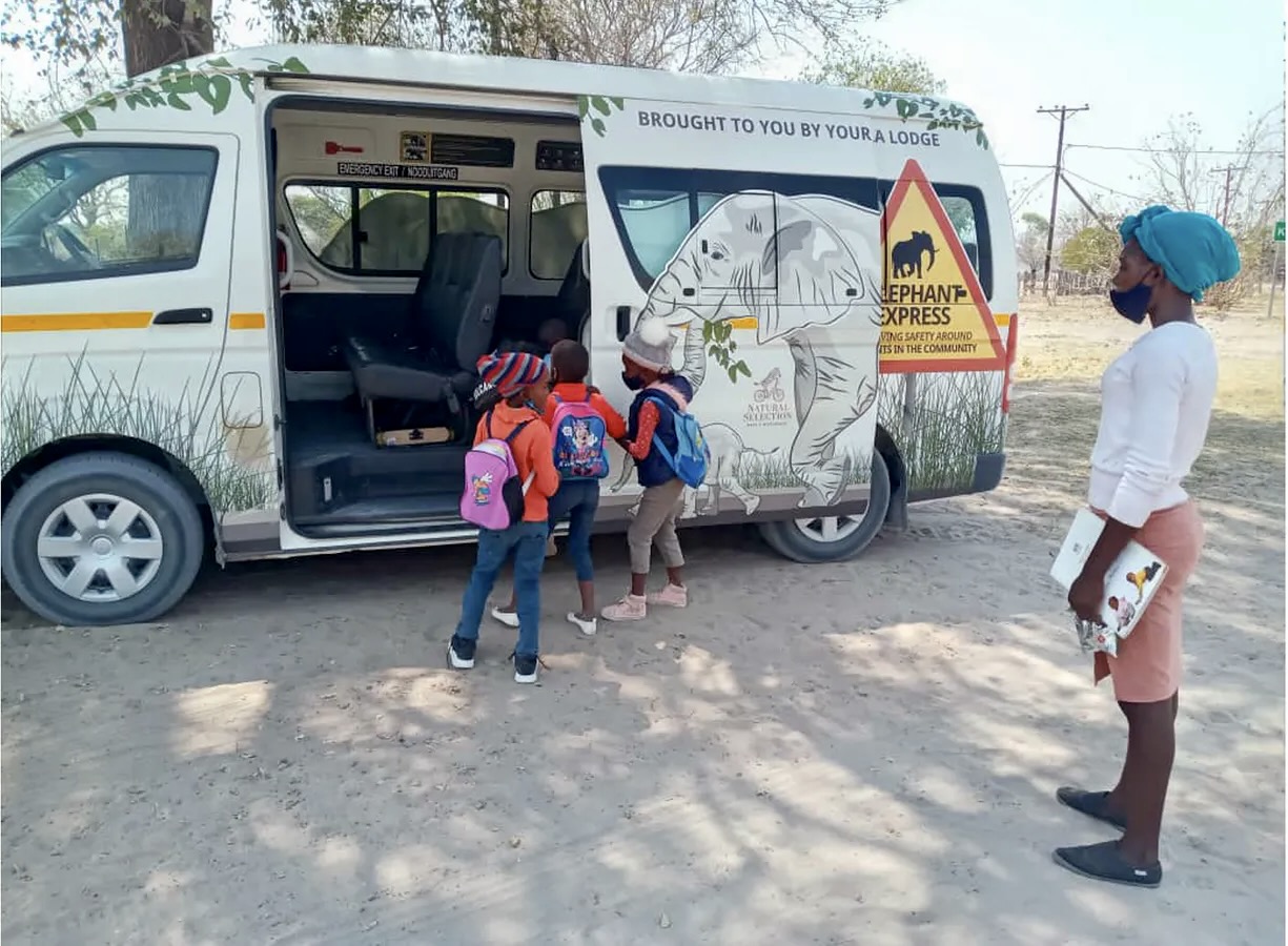 Botswana’s Elephant Bus promotes Human-Elephant co-existence - Die Gute ...