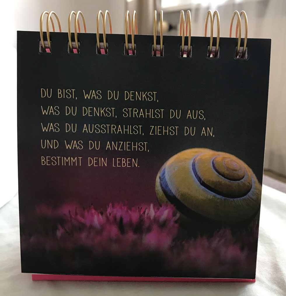 Liebe Freunde der Guten Minute - Die Gute Minute