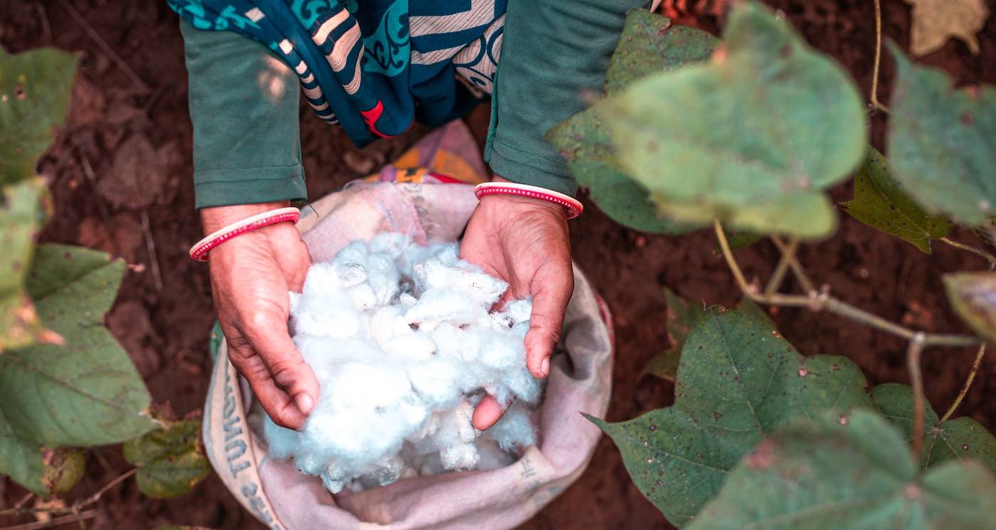Sustainable farming practices thanks to ‘Better Cotton' - Die Gute Minute